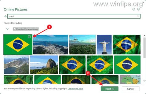 How To Insert Pictures Images In Excel WinTips Org