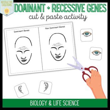 Dominant And Recessive Genes