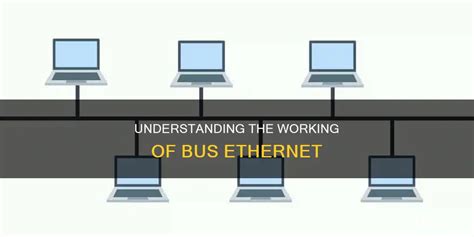 Understanding The Working Of Bus Ethernet Shunauto