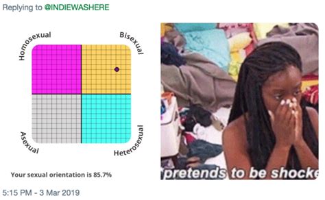 IDRlabs Sexual Orientation Test Know Your Meme