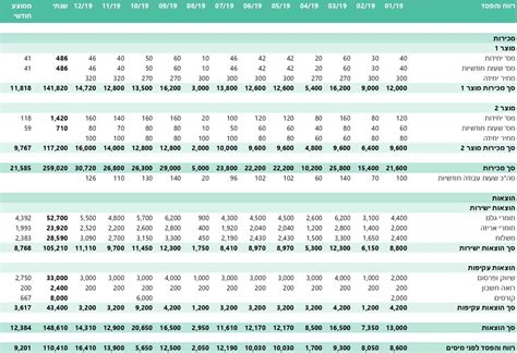 תוכנית כלכלית לעסק לתכנן ליישם ולהרוויח יותר הדרכה מצולמת ומדריך מקיף