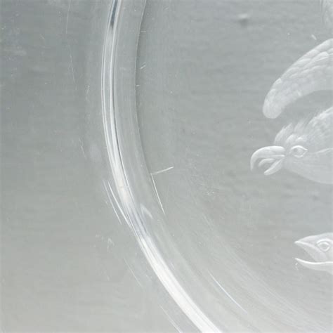 Set Of 12 Steuben Wheel Engraved Crystal Or Glass Audubon Plates By
