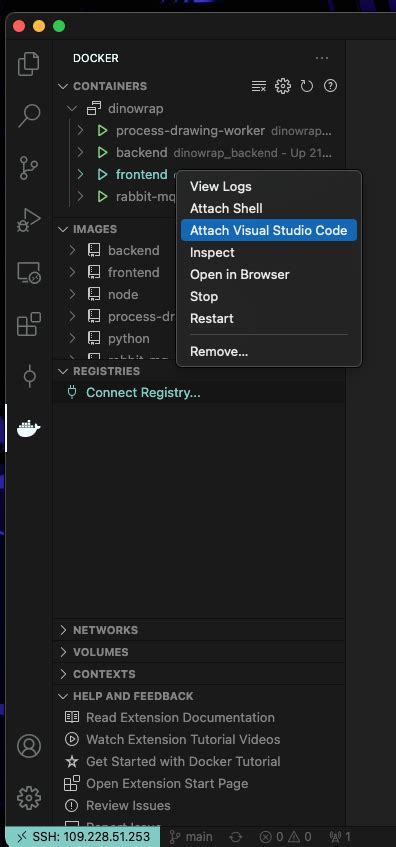Unable To Attach Vs Code To Container On Remote Server · Issue 5074