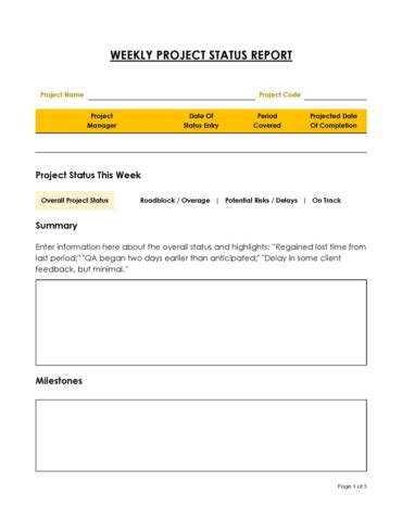 14 Free Project Status Report Templates