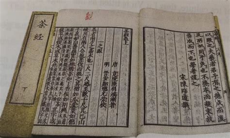 Detailed Explanation Of The Origin Of Tea Ii Riching Matcha