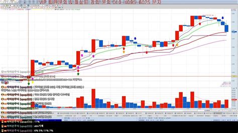 마미손주식 Vip화살표 매매 피델릭스 디티앤씨 엘컴텍 엑스게이트 비츠로테크 휴니드 하이드로리튬 모비스 Kg스틸 급등강의중