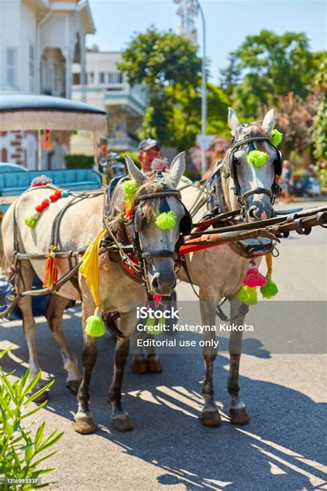 마차 부우카다 섬의 거리를 통해 카트에 걸어 관광객을 위한 관광 명소 0명에 대한 스톡 사진 및 기타 이미지 0명 거리 건물 외관 Istock