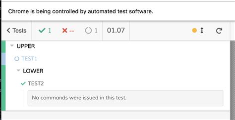 Itskip Before Describe Causing Problems In Both Command Line Run And