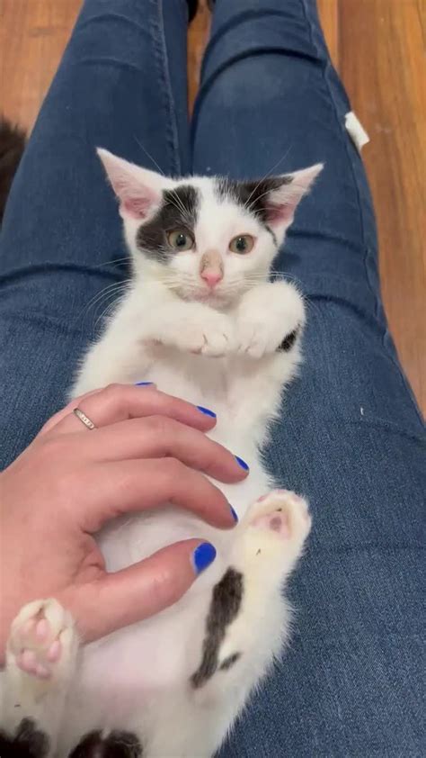 Belly Album On Imgur