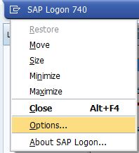 Configure Sap Gui Options And Settings
