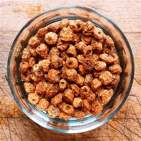 Plantas De Chufa Cyperus Esculentus A La Venta En Entresemillas