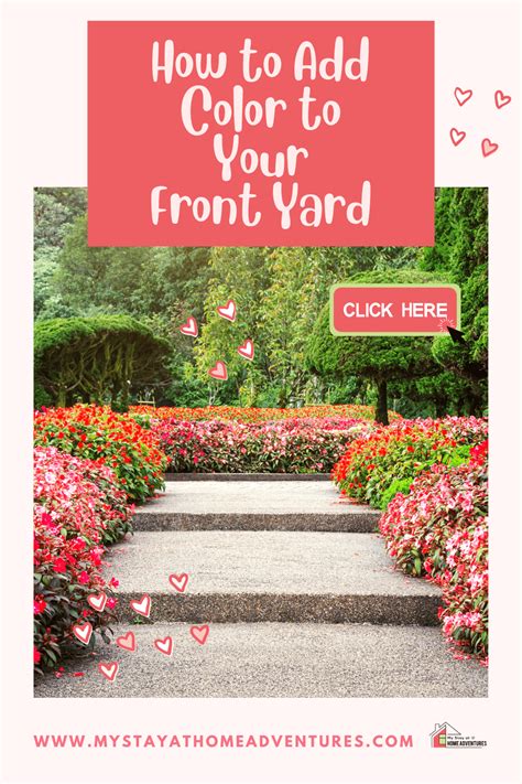 How To Add Color To Front Yard Landscaping No Experts Required