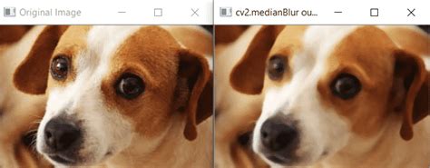 Tutorial De Opencv Una Guía Para Aprender Opencv En Python Plato