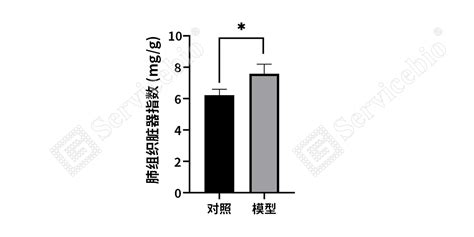 赛维尔生物服务 产品 Servicebio 武汉赛维尔生物科技有限公司