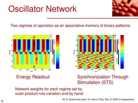 Ppt The Freeman Model As An Associative Memory Application To Static Pattern Recognition