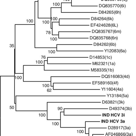Scheuer Classification For Grading And Staging Of Chronic Hepatitis