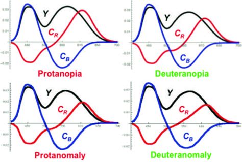 Ycrcb Basis Functions For Cvd In Opponent Color Stage 2 Download Scientific Diagram