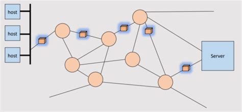 50005 All Network Cards Flashcards Quizlet