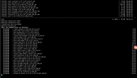 （12）集成部署（cicd）· 使用篇 董川民
