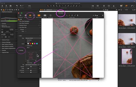 Dynamic Symmetry Basics What It Is And How It Improves Composition