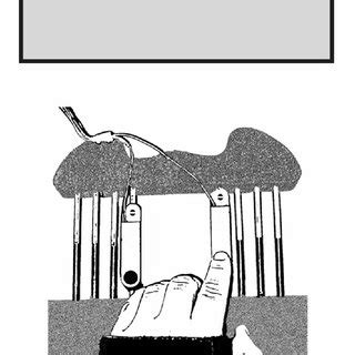Schematic Representation Of The Experimental Set Up Panel A View Of Download Scientific