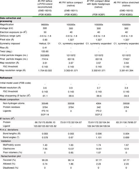 Cryo Em Data Collection Refinement And Validation Statistics