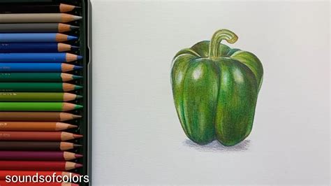 How To Draw Capsicum How To Draw Capsicum Easy Realistic Drawing Tutorial Colored Pencil