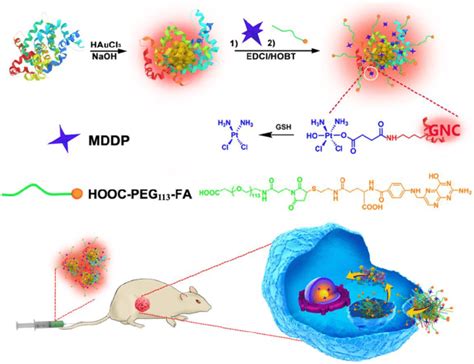 Schematic Illustration Of Gnc Based Theranostic Nanoplatform For