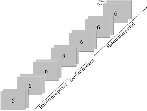 Figure 1 From Developmental Cognitive Neuroscience Developmental Specialization Of The Left