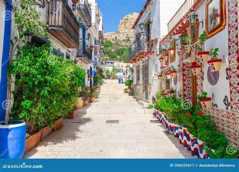 Colored Picturesque Houses Street Typical Neighborhood Histori