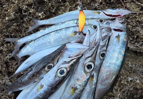 Jerald Ignacio Jerald Ignacio Added A New Photo