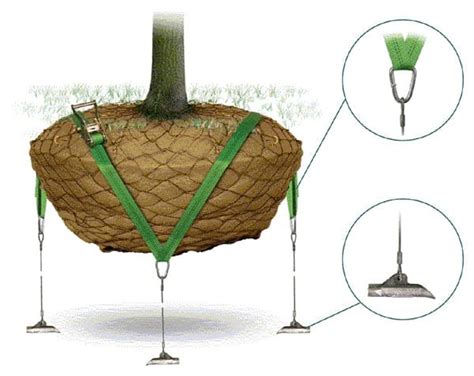 Tree Anchoring Archives Landscape Depot