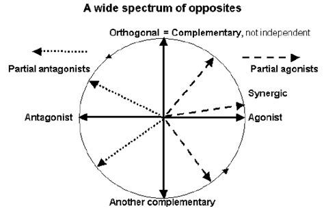 Vector Representation Of Linear Polar Orthogonal Dialectic