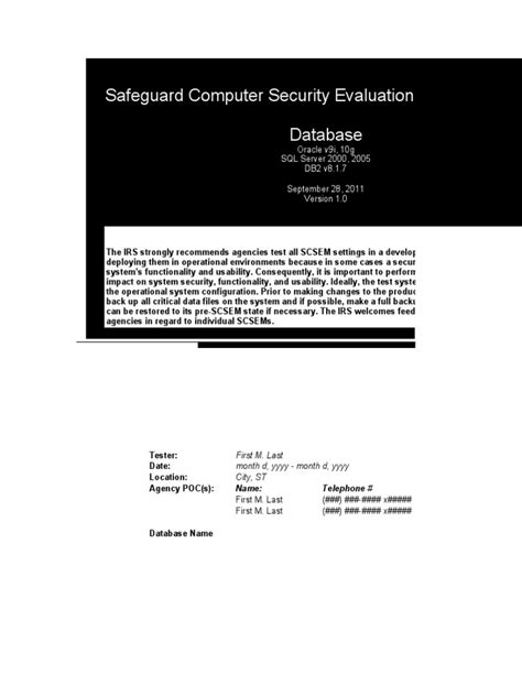 Irs Safeguards Scsem Database V1 0 092811 Pdf Databases Audit