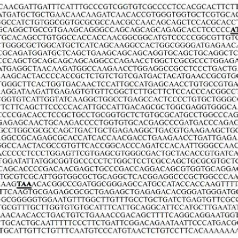 The Full Length Cdna Sequence Of Lci Gene From Dunaliella Parva Download Scientific Diagram