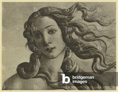 Image Of Botticelli Venus Anadyomene Detail Bw Photo By Botticelli