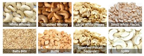 Cashew Grades Explained Sourcing Guide For Buyers Nutrada