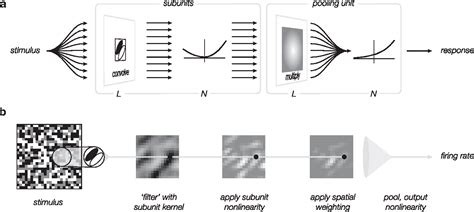 Figure 1 From A Convolutional Subunit Model For Neuronal Responses In Macaque V1 Semantic Scholar