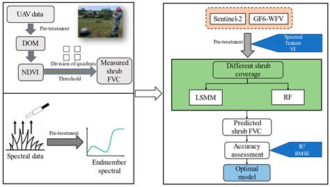 Is Spectral Unmixing Model Or Nonlinear Statistical Model More Suitable For Shrub Coverage