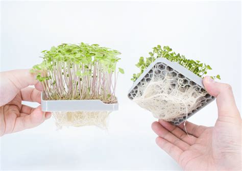 Process Innovation The Key To Micropods Growth Blender Product Design And Development