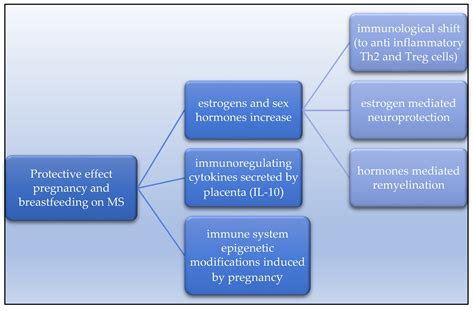 Potential Protective Role Of Pregnancy And Breastfeeding In Delaying