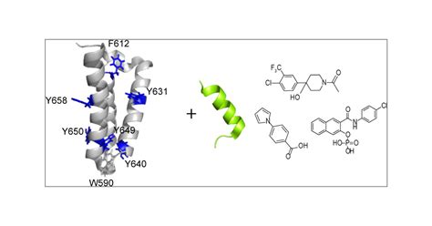 Profiling The Dynamic Interfaces Of Fluorinated Transcription Complexes For Ligand Discovery And