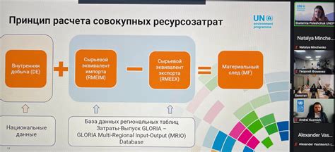 Online Seminar On The Calculation Of Reporting Indicators For Sdgs Was Held In Minsk