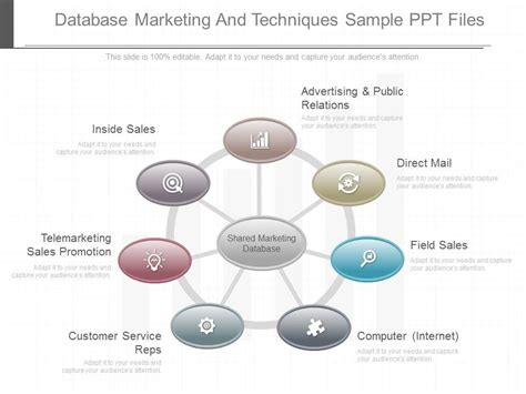 Database Marketing And Techniques Sample Ppt Files