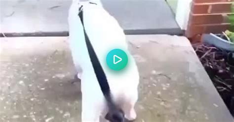 Good Morning Imgur Album On Imgur