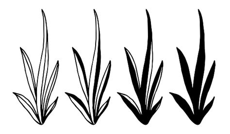 검은 윤곽선에 간단한 손으로 그린 벡터 그리기 긴 잎 요소 세트 실루엣과 흰색 배경에 고립 된 윤곽을 가진 열대 식물 실내 꽃