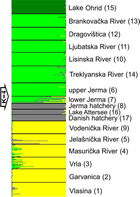 Population Structure As Inferred By Structure Analysis Of Download Scientific Diagram