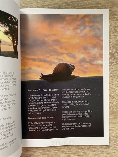 Marry A Lady Who Is Smarter Than You Dr Tan Lai Yong On His 30th Wedding Anniversary — Saltandlight