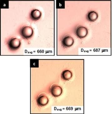 Photomicrograph Of Coarse Polyurea Microcapsules Showing Microcapsule Download Scientific