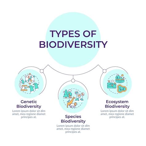Species Biodiversity Diagram